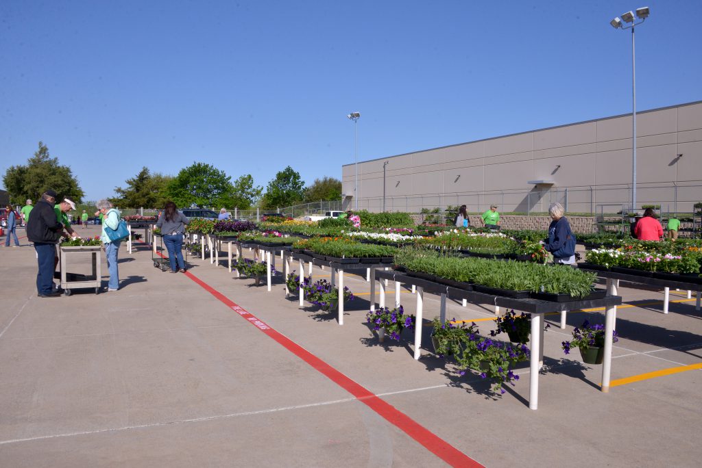 TCC Horticulture Students Hold Annual Plant Sale - TCC News