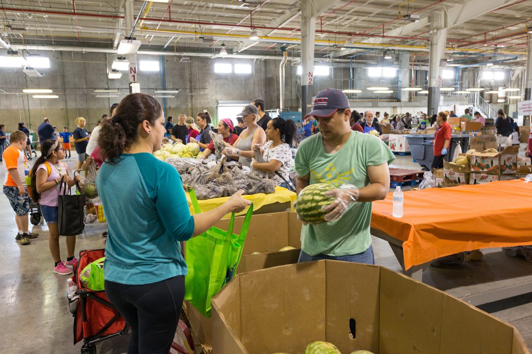 TCC food pantries to reopen this fall - TCC News