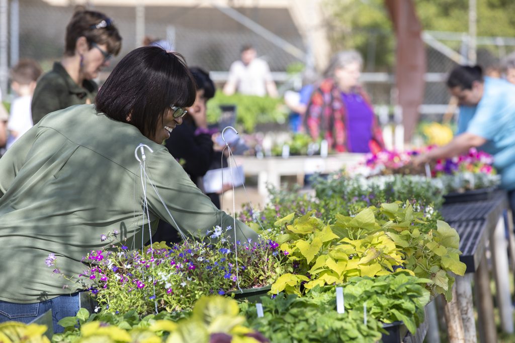 TCC Horticulture Program Hosts Annual Plant Sale - TCC News